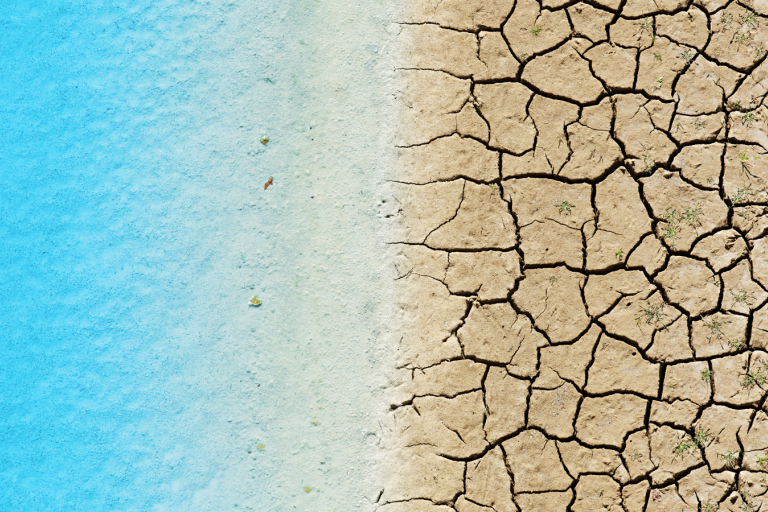WMO calls for proposals for youth-led projects for flood and drought resilience
